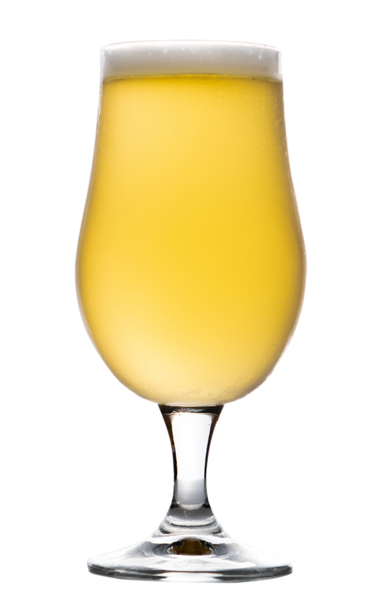 Cans & Bottles | Strange Fellows Brewing